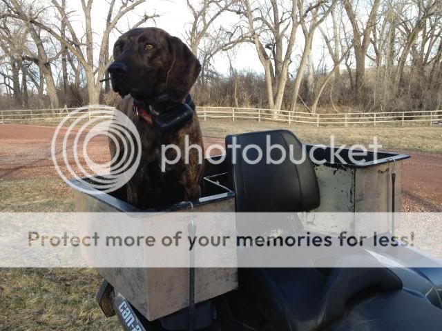 LINQ TOOL/GUN Rack? | Can-Am ATV Forum