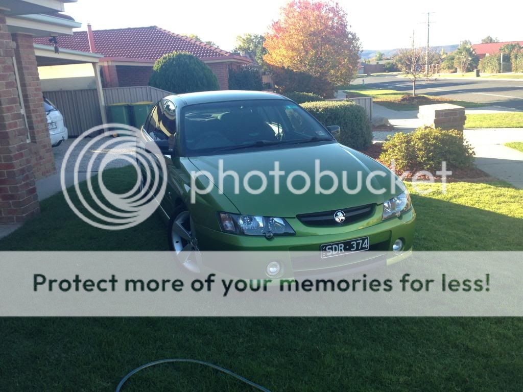 VY hothouse green spack 03 | Just Commodores