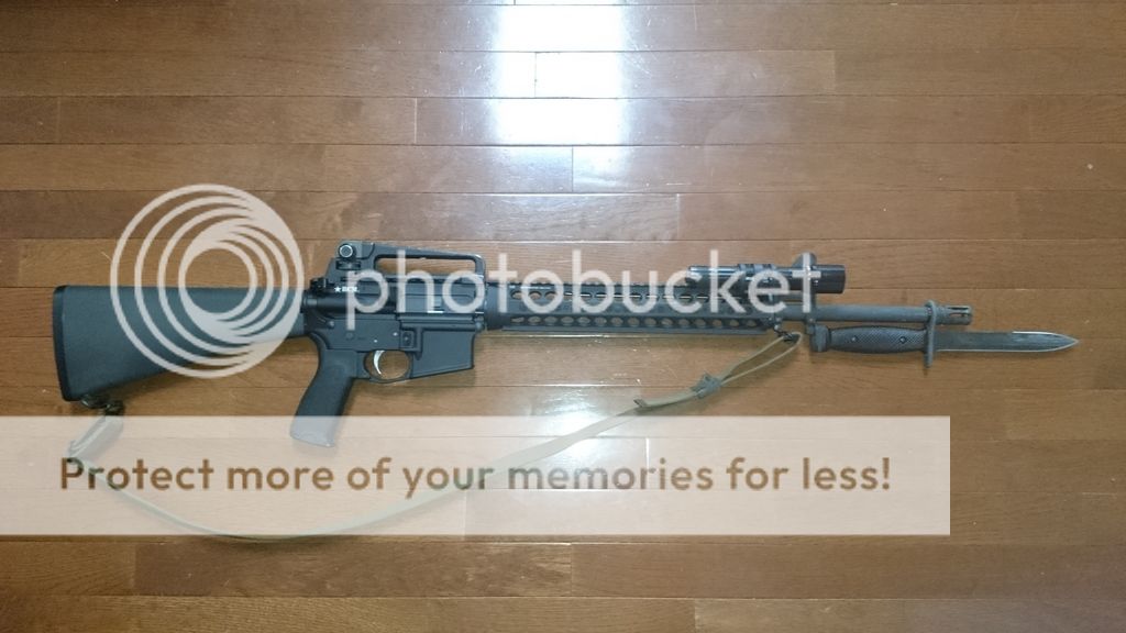 FSB or not? > General Discussion > AR15.COM