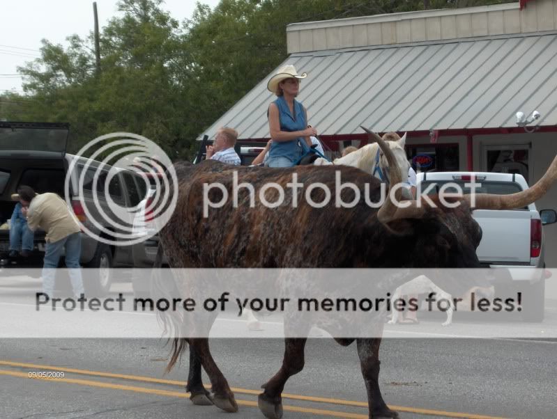 Bandera Homestead, Texas | Timeshare Users Group Online Discussion Forums