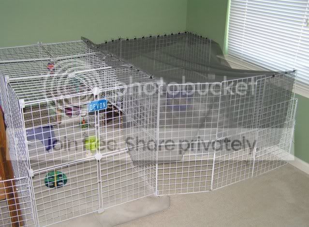 Where do you buy your NIC Grids? | Rabbits Online Pet Rabbit & Bunny Forum