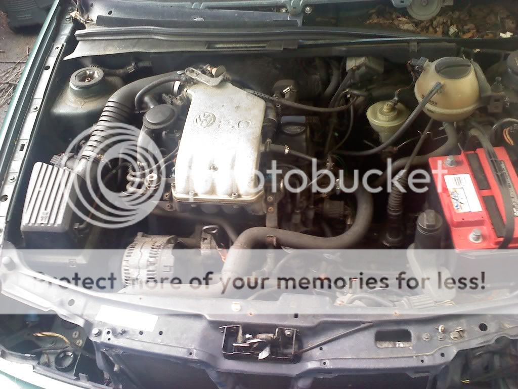wtt: my 95 jetta project for your mk2 jetta project. | VW Vortex ...